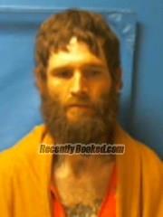 Recent Booking / Mugshot for Falon TULANE GRAY in Johnson County, Arkansas