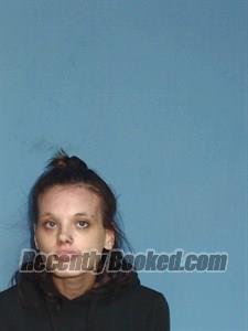 Recent Booking / Mugshot for Sarah NICOLE HEARON in Lonoke County, Arkansas