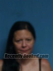 Recent Booking / Mugshot for Michelle Suzanne Anders in Lonoke County ...