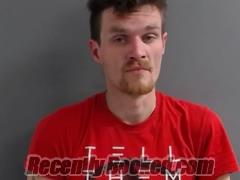 Recent Booking / Mugshot for Tyler Lanham in Marion County, Arkansas