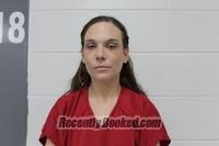 Recent Booking / Mugshot for HOLLY HUGGINS in Nevada County, Arkansas