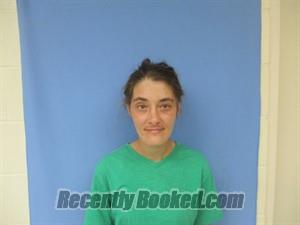 Recent Booking / Mugshot for Briley Morgan in Newton County, Arkansas