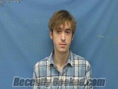 Recent Booking / Mugshot for Dylan Michael Blasingame in Pope County ...