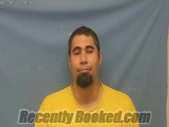 Recent Booking / Mugshot for Daniel Joseph Hourihan in Pope County ...