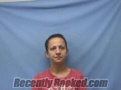 Recent Booking / Mugshot for KRISTINA HOPE REYNOLDS in Pope County ...