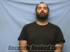 Recent Booking / Mugshot for ANDREW MCADAMS FULLERTON in Pope County ...