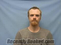 Recent Booking / Mugshot for GEORGE ANTHONY PICKETT in Pope County ...