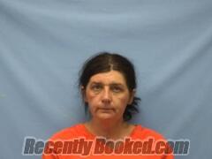 Recent Booking / Mugshot for ASHLEY L ALEXANDER in Pope County, Arkansas