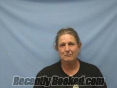 Recent Booking / Mugshot for DEANNA L STEVENS in Pope County, Arkansas