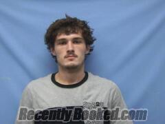 Recent Booking / Mugshot for DYLAN L LOWE in Pope County, Arkansas