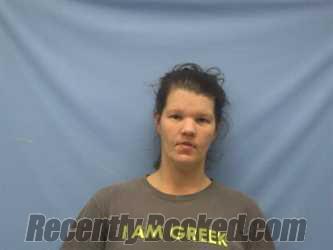 Recent Booking / Mugshot for SAMANTHA GAIL WOMACK in Pope County, Arkansas