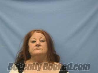 Recent Booking / Mugshot for SHERRON KAYE PERKINS in Pope County, Arkansas