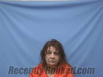 Recent Booking / Mugshot for DAWN MARIA COLLINS in Pope County, Arkansas