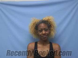 Recent Booking / Mugshot for CHRISTEN RENEE SPRINGER in Pope County ...