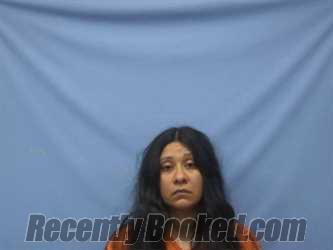 Recent Booking / Mugshot for MAYRA ARACELI TORRESNO in Pope County ...