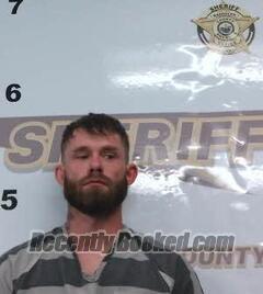 Recent Booking / Mugshot for TREYTON JOHNSON in Randolph County, Arkansas