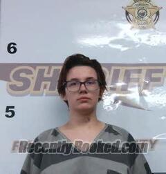 Recent Booking / Mugshot for TIA WILSON in Randolph County, Arkansas