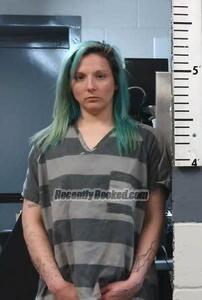 Recent Booking / Mugshot for DANIELLE CROW in Randolph County, Arkansas