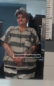 Recent Booking / Mugshot for AMANDA THACKER in Randolph County, Arkansas