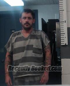 Recent Booking / Mugshot for JAMES ODELL in Randolph County, Arkansas