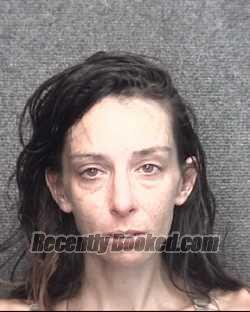 Recent Booking / Mugshot for LILLIAN MICHELLE HENDRICKSON in Horry ...