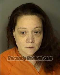 Recent Booking / Mugshot for MELISSA ROSE PELLETIER in Horry County ...