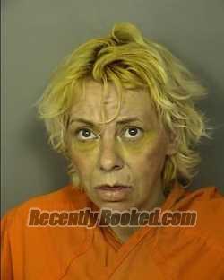 Recent Booking / Mugshot for LISA MARIE JONES in Horry County, South ...