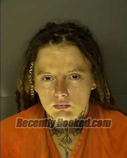 Recent Booking / Mugshot for MEREDITH LOGAN HELQUIST in Horry County ...