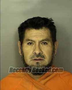 Recent Booking / Mugshot for MARIO ZUNIGA-PALOMO in Horry County, South ...
