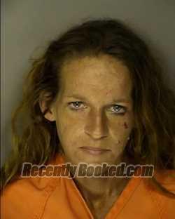 Recent Booking / Mugshot for NICOLE RENEE HENDRIX in Horry County ...