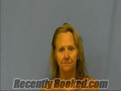 Recent Booking / Mugshot for LISA CHEEK in Saline County, Arkansas