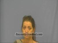 Recent Booking / Mugshot for ELIZABETH CHADWELL in Saline County, Arkansas