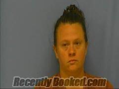 Recent Booking / Mugshot for DANIELLE EILERS in Saline County, Arkansas