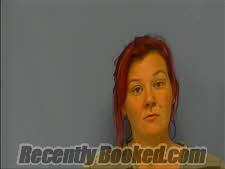 ERICA KENNEDY Arrest Record & Booking Info – Saline County, Arkansas ...