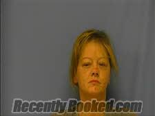 SHEENA JONES Arrest Record & Booking Info – Saline County, Arkansas ...