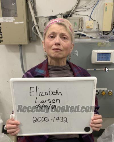 Recent Booking / Mugshot for Elizabeth Anne Larsen in Sebastian County ...