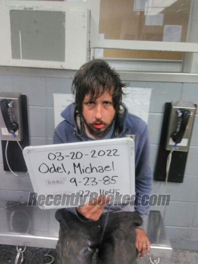Recent Booking / Mugshot for Michael Alan Odel in Sebastian County ...