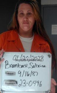 Recent Booking / Mugshot for Sabrina Nicole Brumback in Sebastian ...