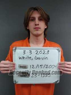 Recent Booking / Mugshot for Gavin Christopher White in Sebastian ...