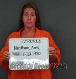 Recent Booking / Mugshot for Amy Starnes Needham in Sebastian County ...