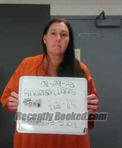 Recent Booking / Mugshot for LACEY ELIZABETH ANDERSON in Sebastian ...