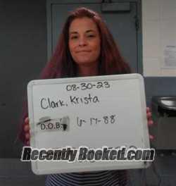 Recent Booking / Mugshot for KRISTA MARIE CLARK in Sebastian County ...