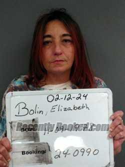 Recent Booking / Mugshot for Elizabeth Anne Bolin in Sebastian County ...