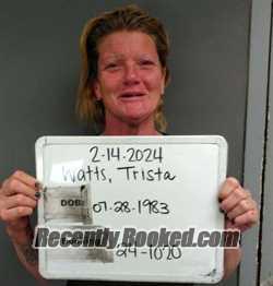 Recent Booking / Mugshot for Trista Lee Ann Watts-Newman in Sebastian ...