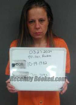 Recent Booking / Mugshot for Andrea Fawn Miller in Sebastian County ...