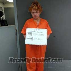 Recent Booking / Mugshot for Summer Dawn Meeks in Sebastian County ...
