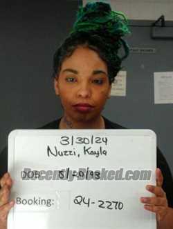 Recent Booking / Mugshot for KAYLA ELIZABETH NUZZI in Sebastian County ...