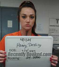 Recent Booking / Mugshot for DESTINY NICOLE HANEY in Sebastian County ...