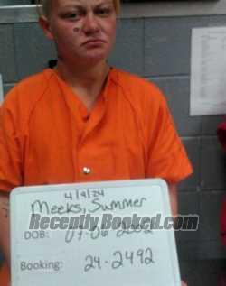 Recent Booking / Mugshot for Summer Dawn Meeks in Sebastian County ...