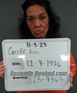 Recent Booking / Mugshot for Ann Yi Groff in Sebastian County, Arkansas